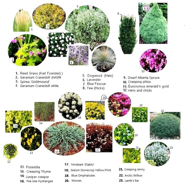 Gardening