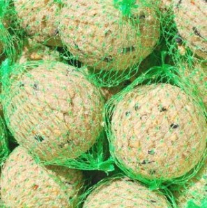 DIY – Making suet balls to feed our feathered friends! | Wall Flower Studio