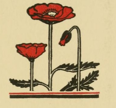 The Poppy – remembrance and symbolism of things past