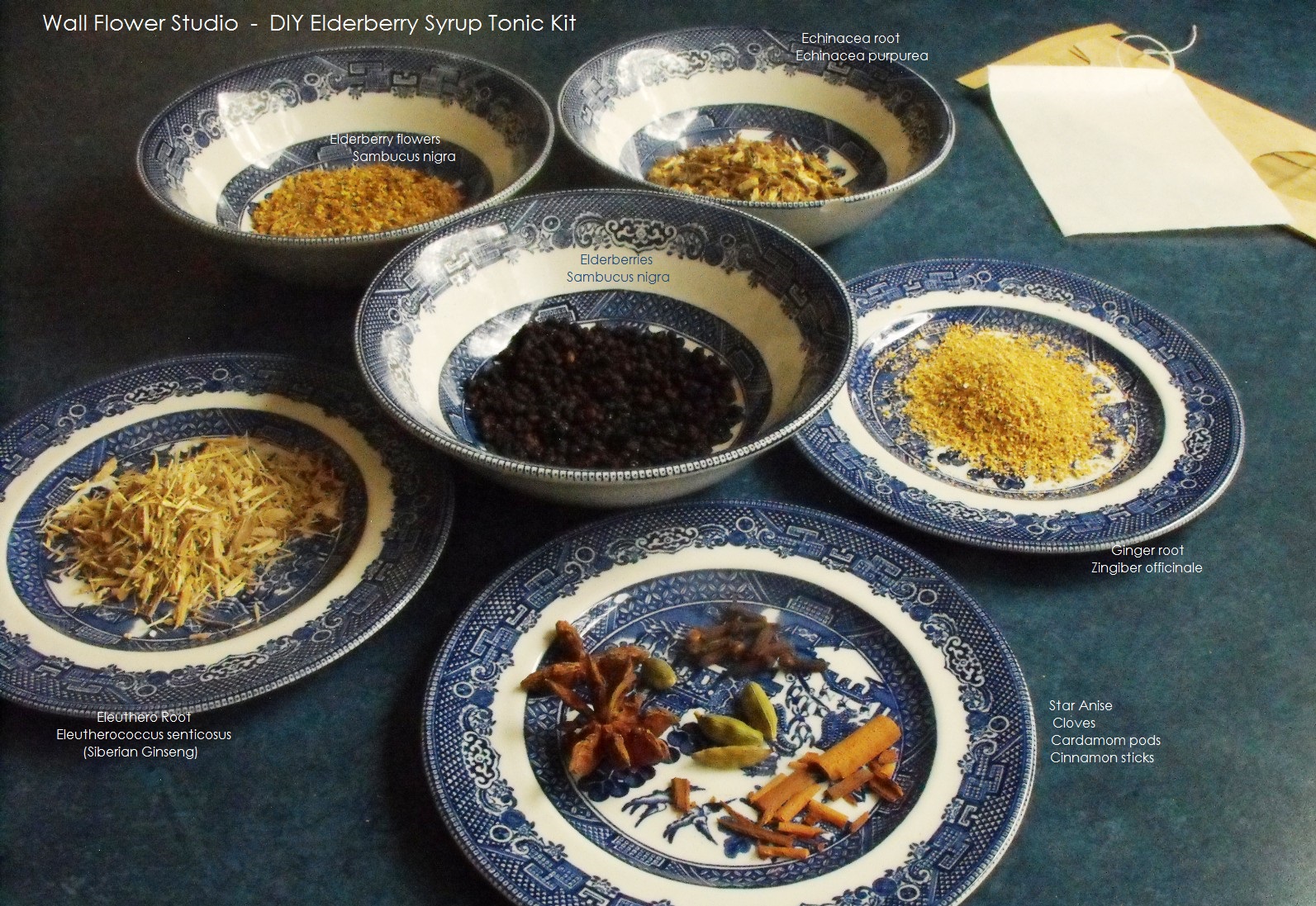 Sharing an elderberry syrup elixir recipe, and DIY kits too! | Wall ...