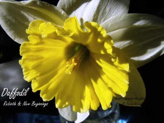 Flower Language – the art of communication in a time of social distancing